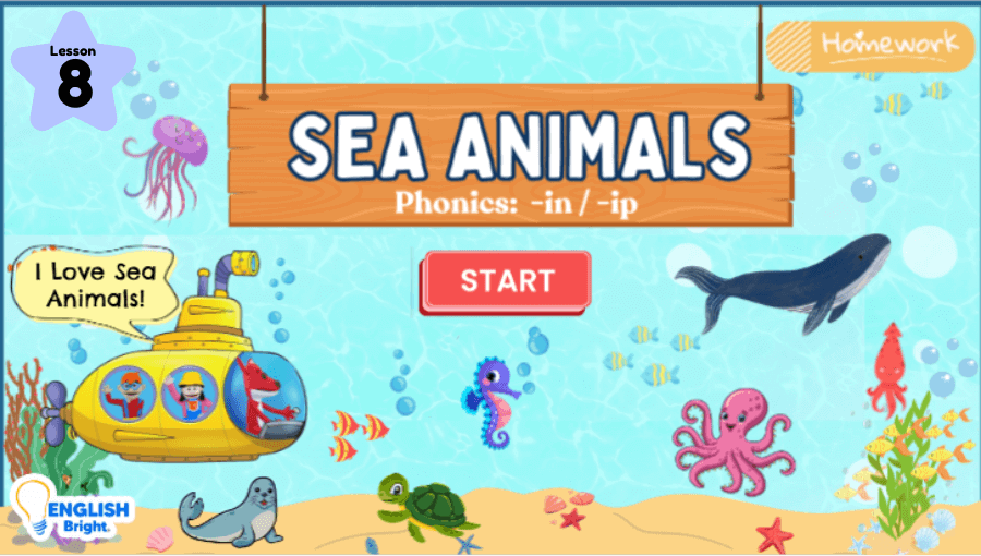 Shrimp and Jellyfish ESL Vocabulary - Sea Animals