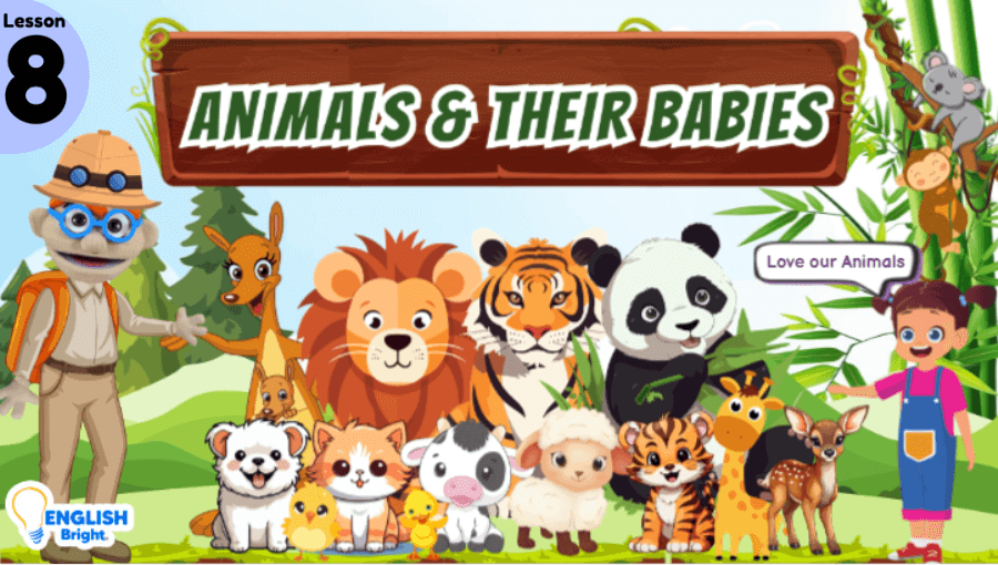 Animals and their Babies Resources
