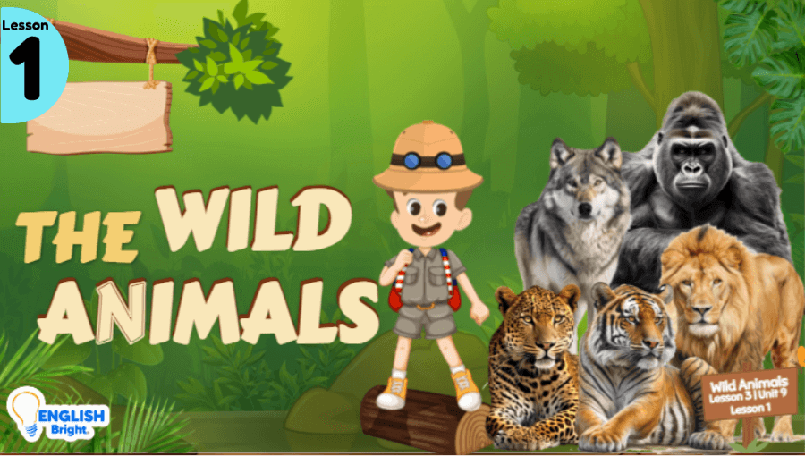 Wild Animals ESL - Lion Tiger Wolf Vocabulary